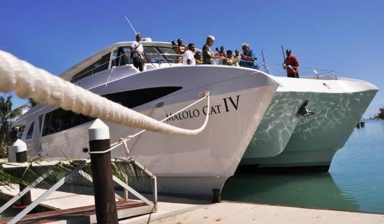 Malolo Cat ferry transfers - Providing services in Fiji since 1998
